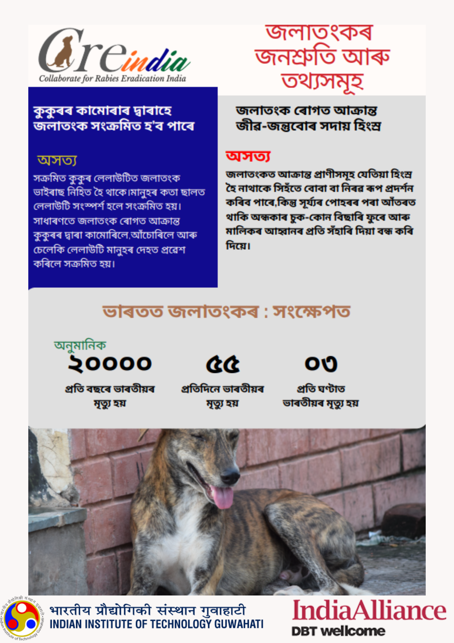 CreIndia
